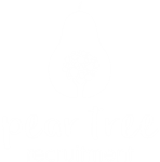 Home - Pear Tree Recruitment